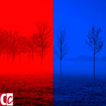 What Are the Symbolic Values of Red and Blue?