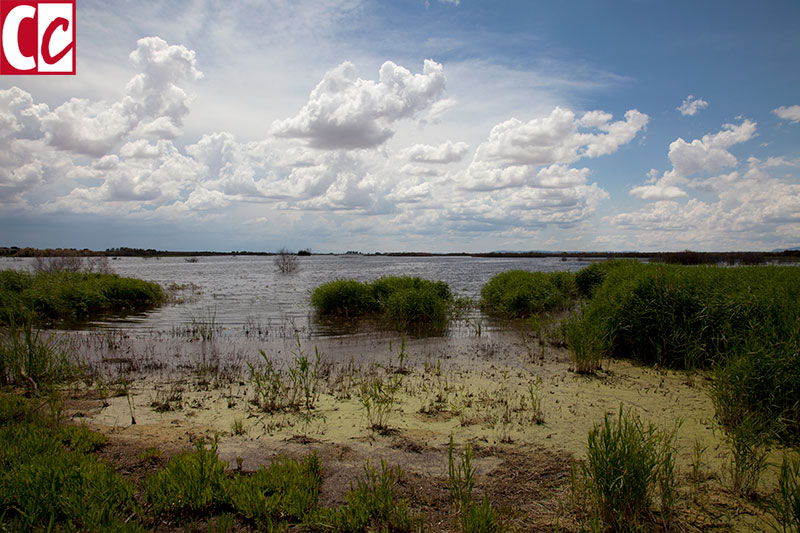 What is a Viewpoint in Photography and How does it Impact our Images?