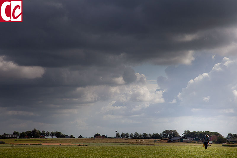 What is a Viewpoint in Photography and How does it Impact our Images?