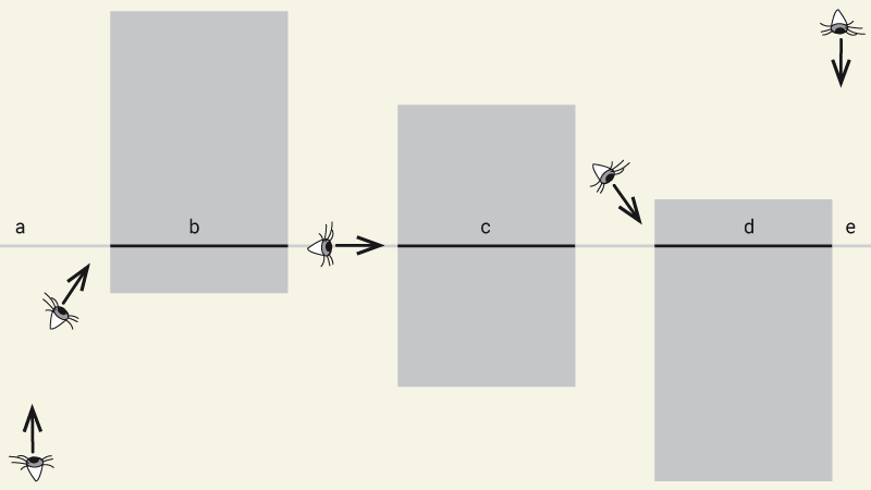 What is a Viewpoint in Photography and How does it Impact our Images?