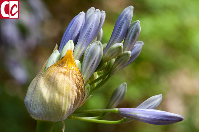 What is a Viewpoint in Photography and How does it Impact our Images?