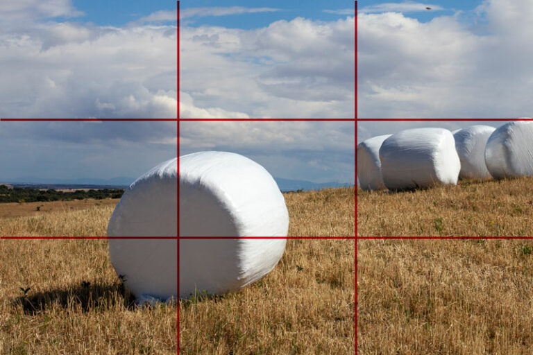 What is Composition in Photography? 7 Tips to Improve your Images