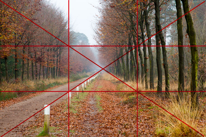 What is Composition in Photography? 7 Tips to Improve your Images