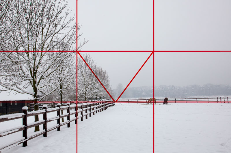 What is Composition in Photography? 7 Tips to Improve your Images