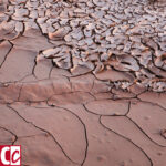 Ceramics in Magical Colours. How to Use the Colour of Clay Itself?