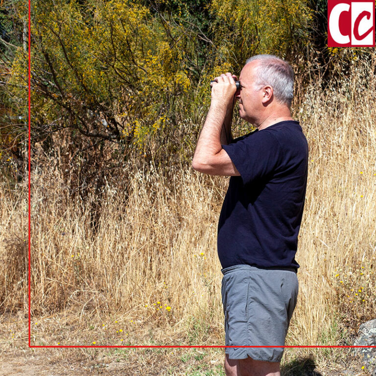 10 Tips to Crop Pictures the Right Way for your Blog or Magazine