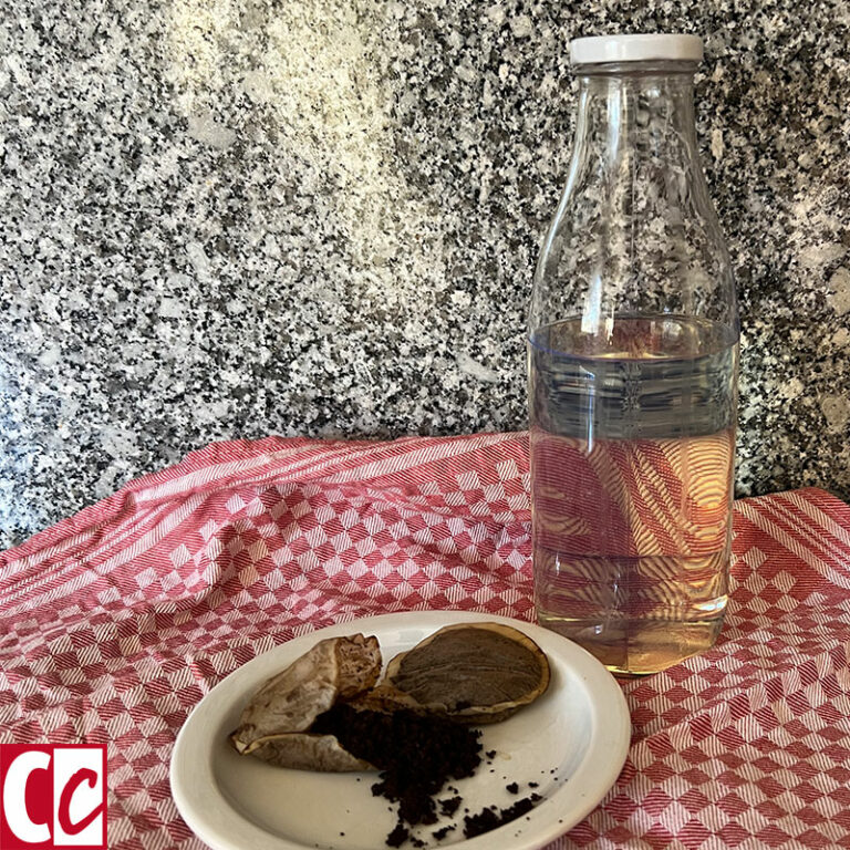 How to Clean Greasy Hands Quickly in an Eco-Friendly Way?