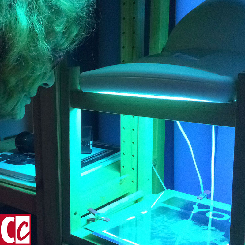 How to Get Started with Cyanotype to Create Splendid Blue Prints?