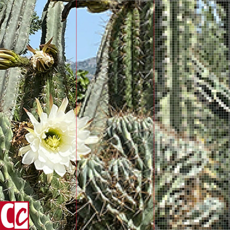 Important to Know the Difference between Pixels and Vectors?